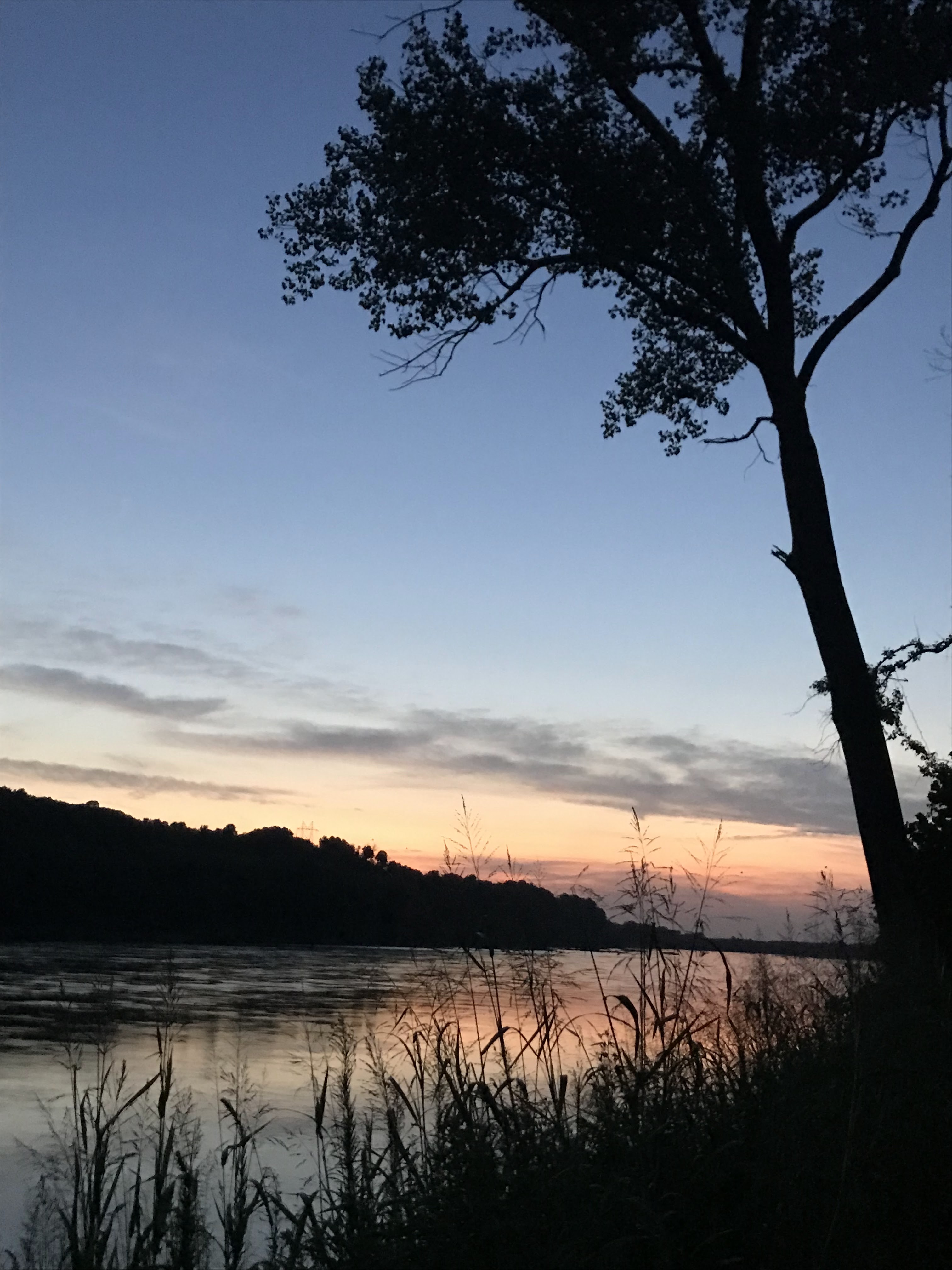 The Song of River Grass: A Video Poem – Extraordinary Sunshine Weaver